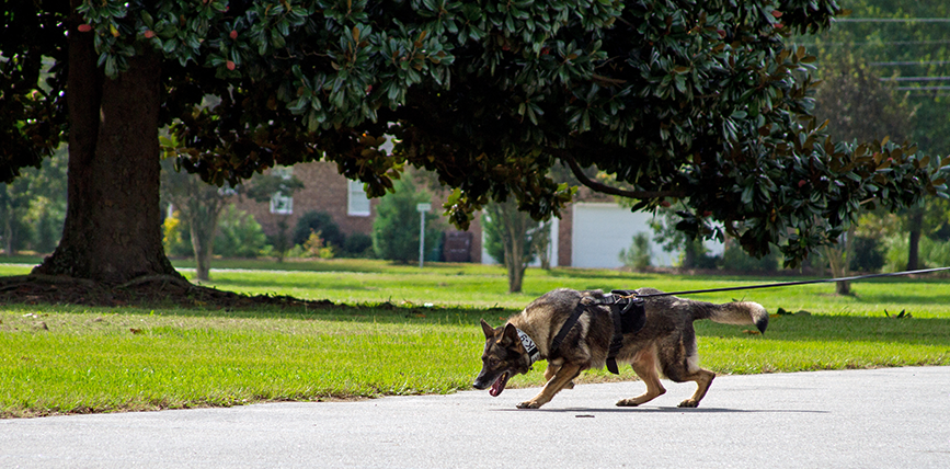 Police K9 Tracking Book - Ventosa Kennel